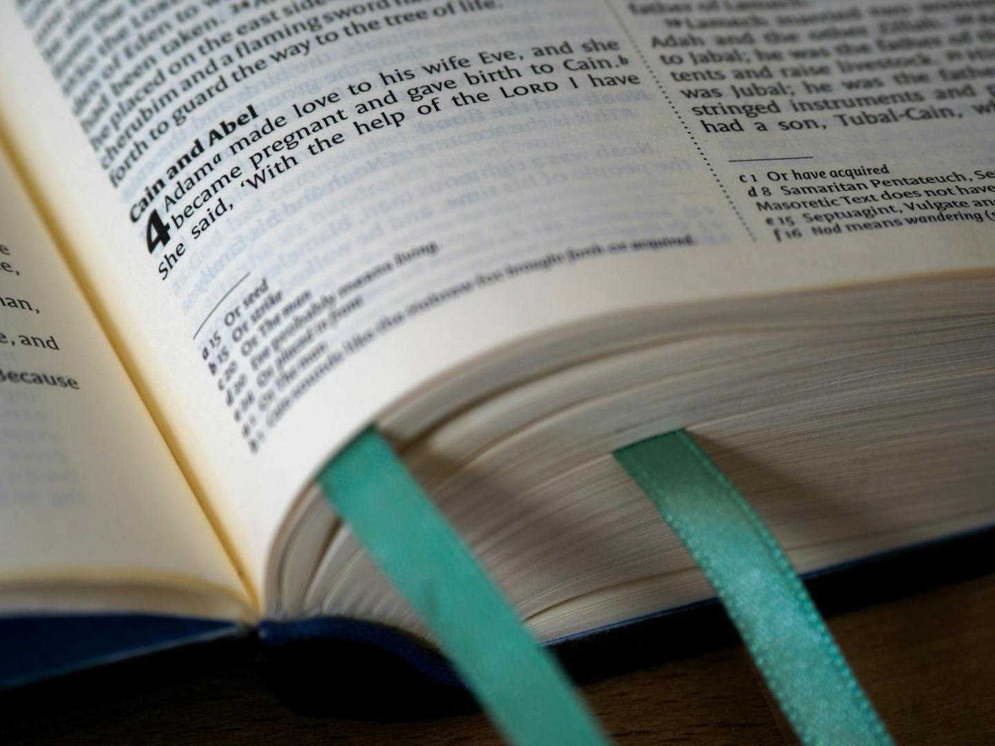 Bible Tour Character Studies – Cain & Abel – A Different Kingdom